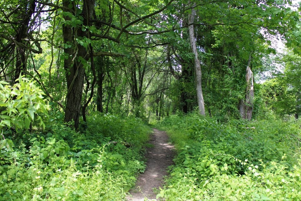 Normanskill farm hiking trail - Futurzweb