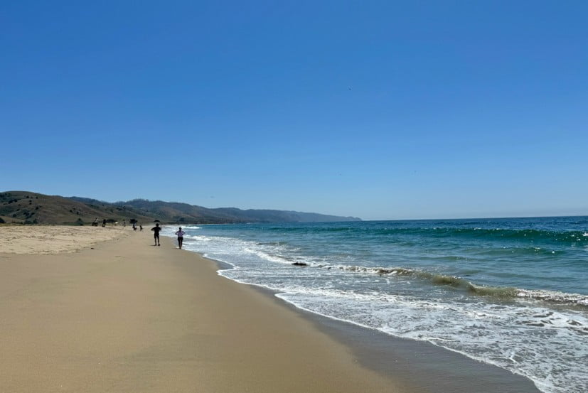 Visiting Point Reyes Public Beach - Futurzweb